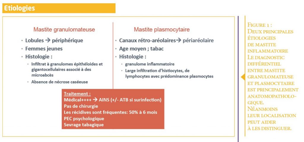 Les mastites inflammatoires chroniques – REVUE GENESIS