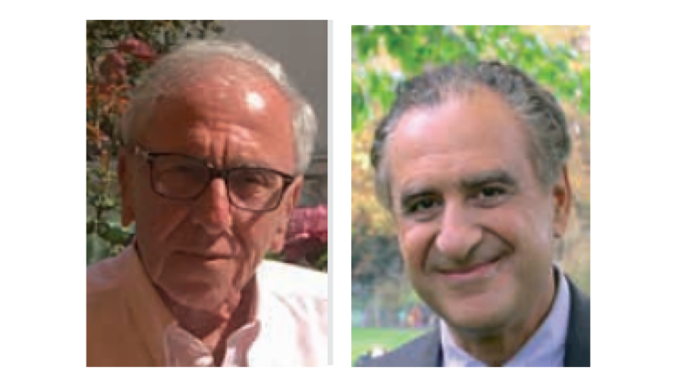 Condylomes acuminés : prise en charge et options thérapeutiques – REVUE ...